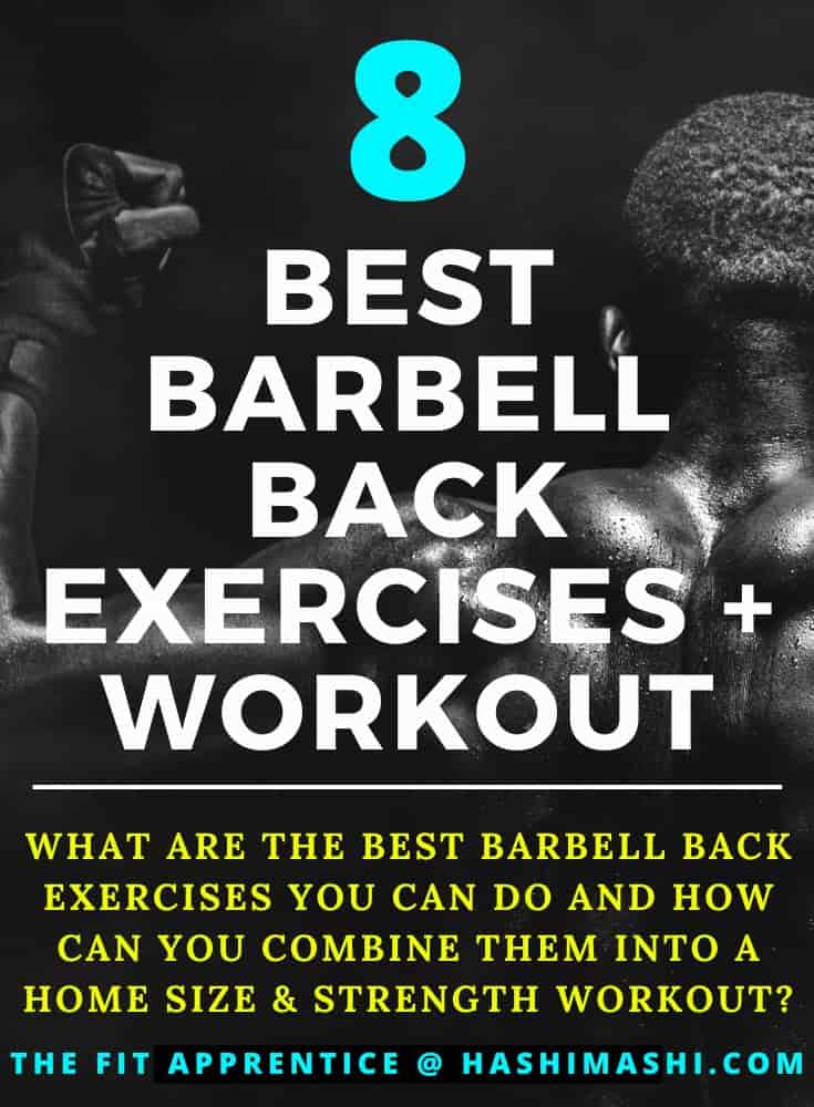 8 Best Back Exercises with a Barbell + Home Strength Workout